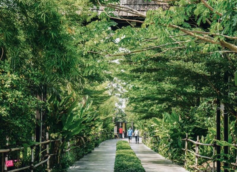 Bangkok to DuBua Café & Amphawa Private Day Trip - A Detailed Look at What Youll Experience