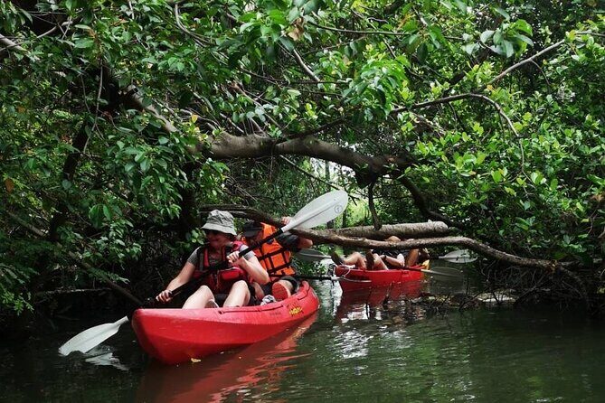 Bangkok Tour by Boat and Bike - Practical Details