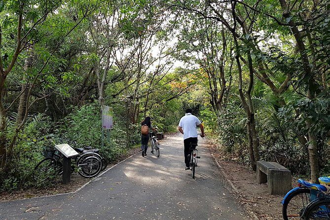 Bangkok's Green Lung Jungle Cycling Adventure Tour - Why This Tour Works for Travelers
