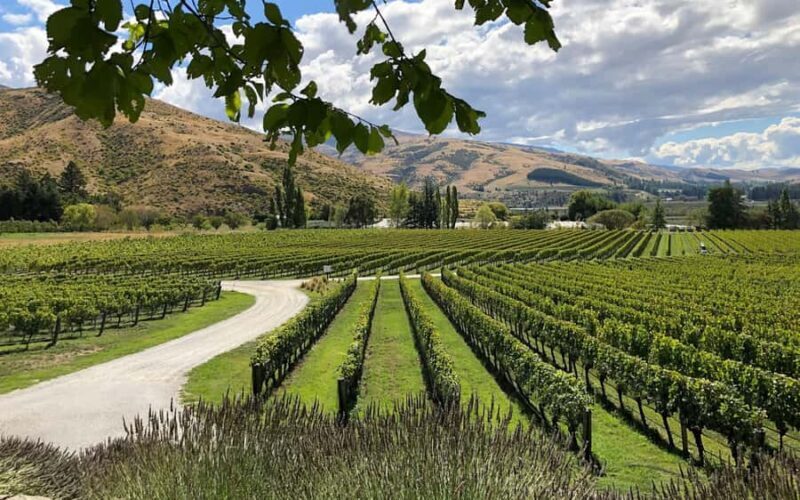 Bannockburn Winery eBike Tour & Private Carrick Winery Lunch - A Taste of Central Otago’s Vineyards: Bannockburn Winery eBike Tour & Private Carrick Winery Lunch