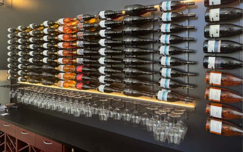 Bannockburn Winery eBike Tour & Private Carrick Winery Lunch - Who Should Consider This Tour?