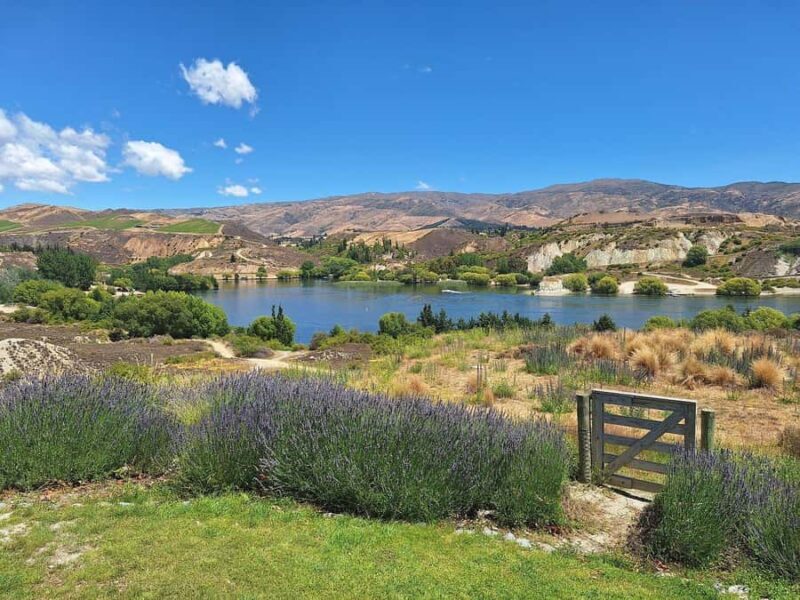 Bannockburn Winery eBike Tour & Private Carrick Winery Lunch - The Sum Up