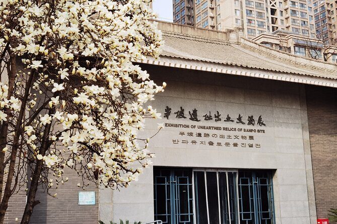 Banpo Museum English-speaking Guide Service - Key Points