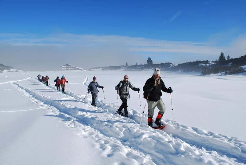 Bansko: Easy snowshoeing Pirin National Park & thermal spa - Key Points