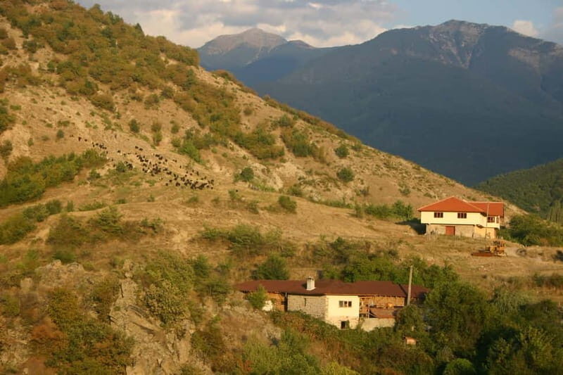 Bansko: Rare Bulgarian Pets Experience - Final Thoughts