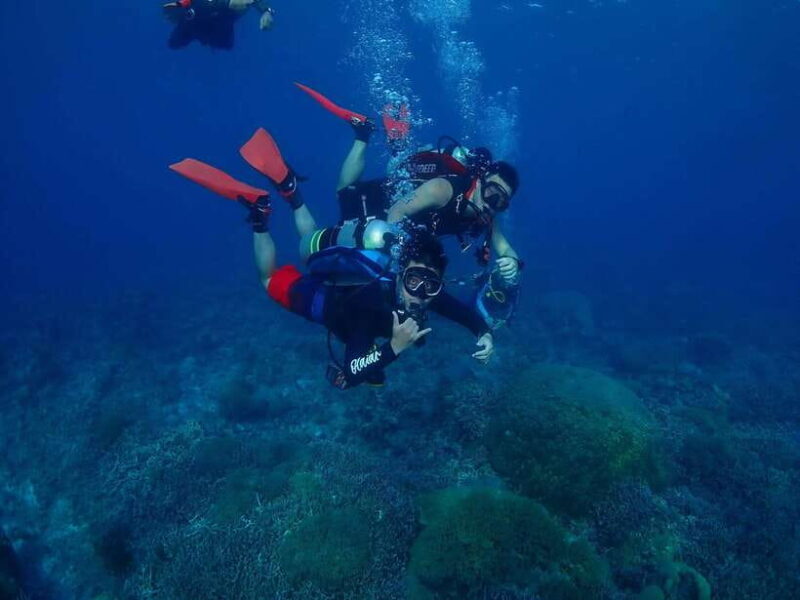 Bantayan Island: Discover Scuba Diving - A Practical Overview: What This Tour Offers