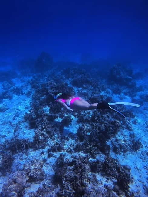 Bantayan Island: Fundive Freediving Excursion - Key Points