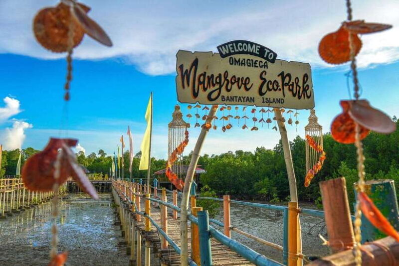 Bantayan Island Uncovered: Land Tour Adventure - Second Stop: Palm Forest Photo Op