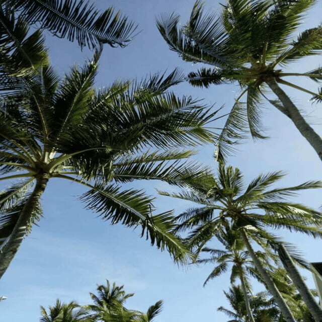 Bantayan Island Uncovered: Land Tour Adventure - Practical Details and Tips