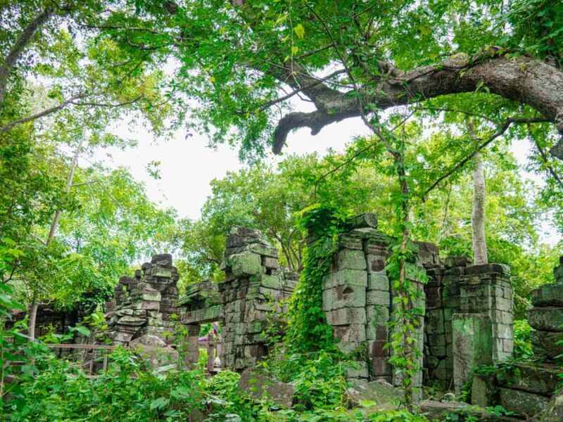 Banteay Chhmar: Journey to Khmer Fortress in the Jungle - Who Will Love This Tour?
