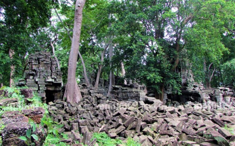 Banteay Chhmar Temple & Silk Farm Day Trip from Siem Reap - Who Is This Tour Best For?
