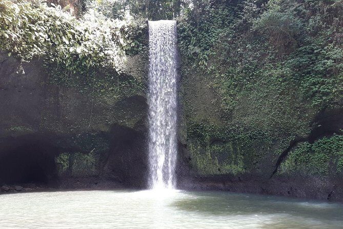 Banyumala Instagram Waterfall Private Tour - A Deep Dive into the Bali Waterfall & Hills Adventure