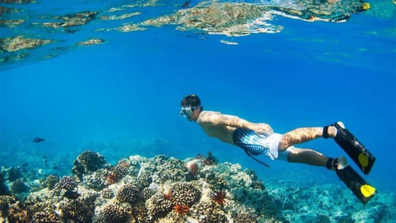 Banyuwangi: 1 Day Tour Snorkeling & Explore Menjangan Island - The Full Experience: An In-Depth Look