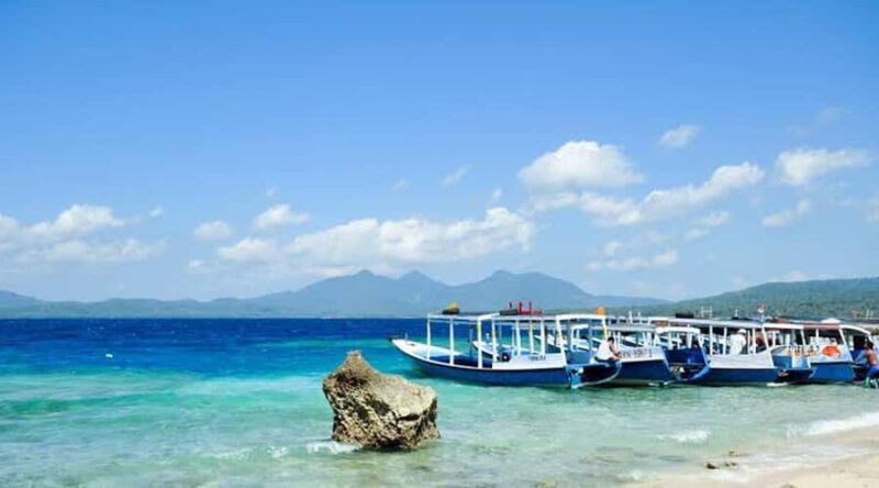Banyuwangi: 1 Day Tour Snorkeling & Explore Menjangan Island - The Sum Up