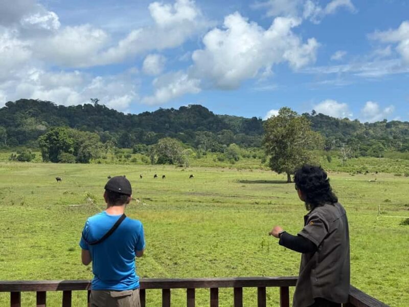 Banyuwangi: Alas Purwo National Park & G-Land Beach Tour - FAQ