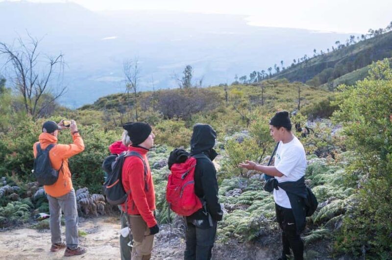 Banyuwangi/Bali: Ijen Crater Blue Fire & Sunrise Guided Tour - Value and Practical Tips