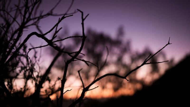 Banyuwangi: Beautiful of Ijen Crater with Local Guide - The Journey to Ijen: What to Expect