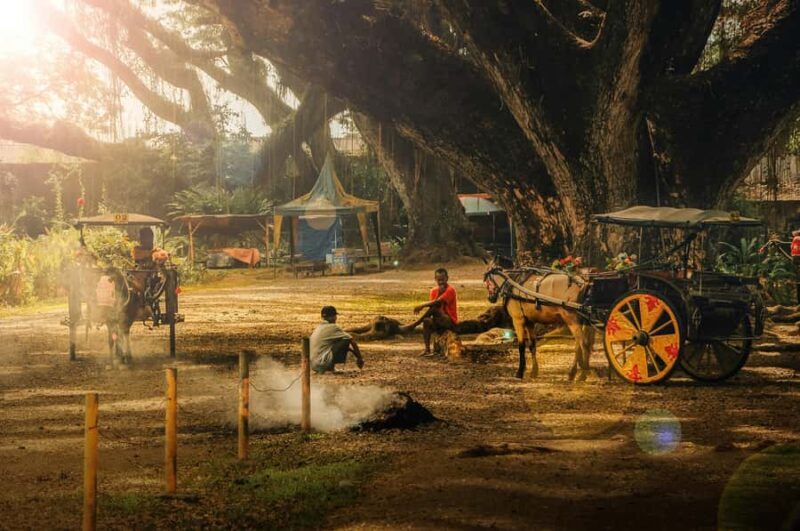 Banyuwangi: De Djawatan, Green, and Red Island Day Trip - Key Points