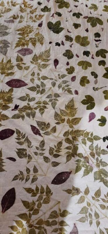 Banyuwangi: Eco Print Workshop with Local Artisan - The Itinerary and What Makes It Special