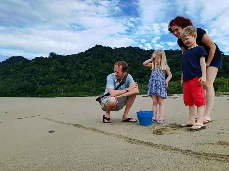 Banyuwangi hidden gem: Sukamade Beach Turtle Release Tour - An In-Depth Look at the Sukamade Beach Turtle Release Tour
