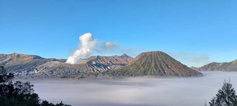 Banyuwangi : ijen bluefire + Bromo sunrise + Yogyakarta - FAQ (Frequently Asked Questions)