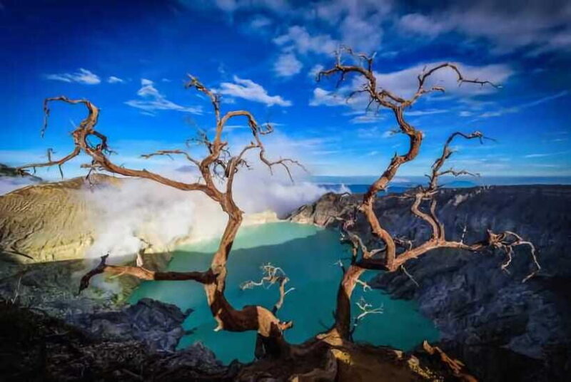 Banyuwangi : Mt Ijen, Blue Fire & Panoramic with local guide - The Sum Up