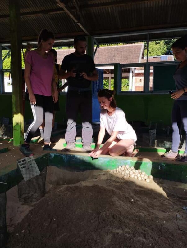 Banyuwangi: Sukamade Beach Turtle Conservation 2-Day Tour - Key Points