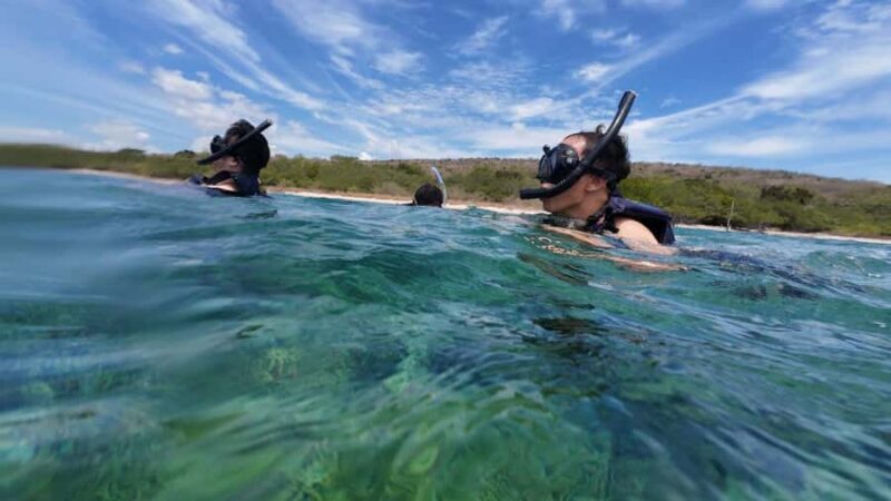 Banyuwangi: Tabuhan & Menjangan Island Snorkeling Tour - Starting Point and Safety Briefing