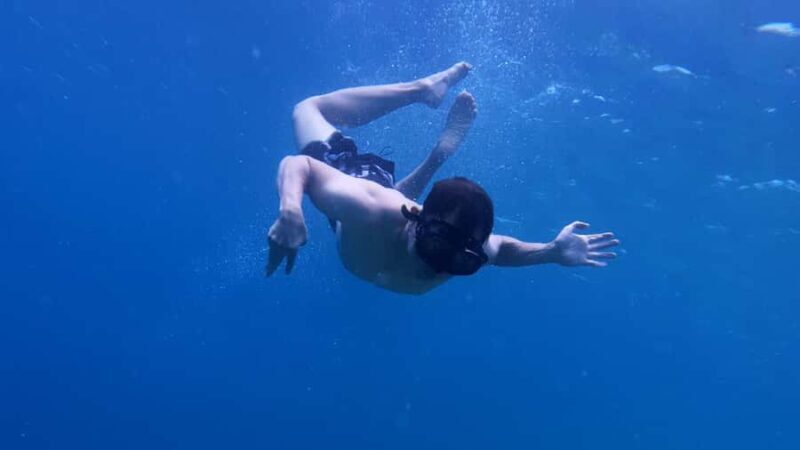 Banyuwangi: Tabuhan & Menjangan Island Snorkeling Tour - Visit to Banyuwangi and Transition to the Islands