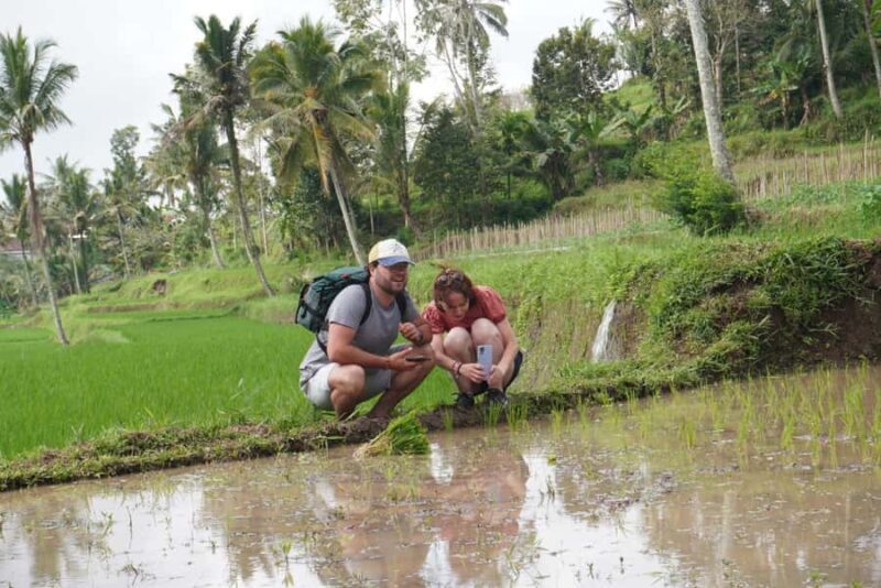 Banyuwangi: Village Walking Tour with Lunch & Coffee - FAQ