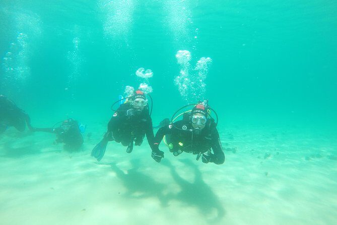 Baptism of diving in the Natural Park of the Strait - Discovering the Underwater World of the Strait