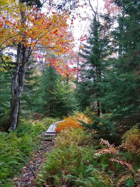 Bar Harbor: Acadia National Park Autumn Leaf Private Tour - Introduction