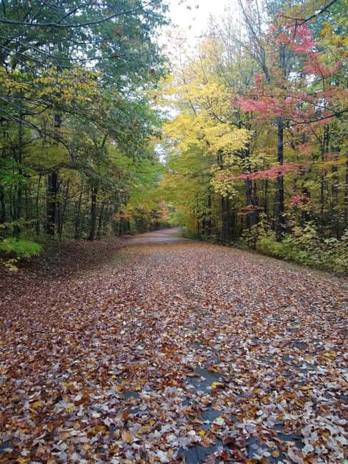 Bar Harbor: Acadia National Park Autumn Leaf Private Tour - Key Points