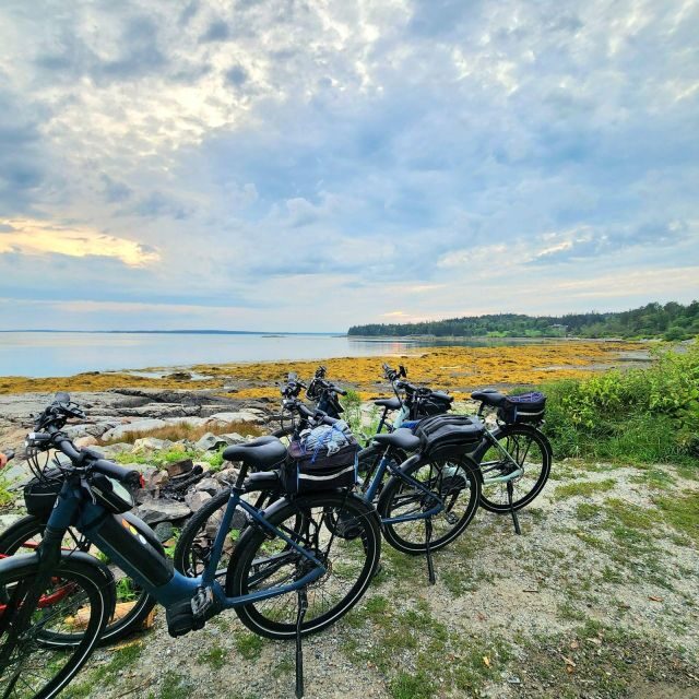Bar Harbor: Acadia National Park Carriage Roads Ebike Tour - What to Expect and How It Enhances Your Visit