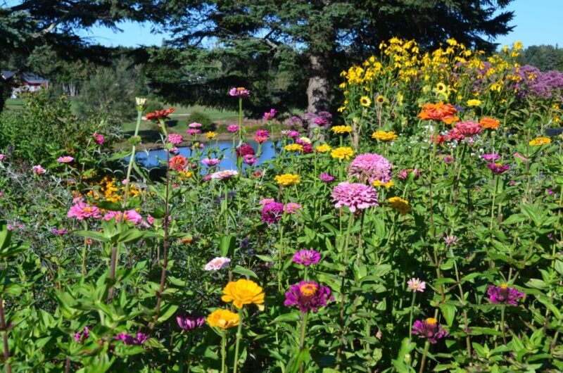 Bar Harbor: Acadia National Park Customizable Private Tour - FAQ