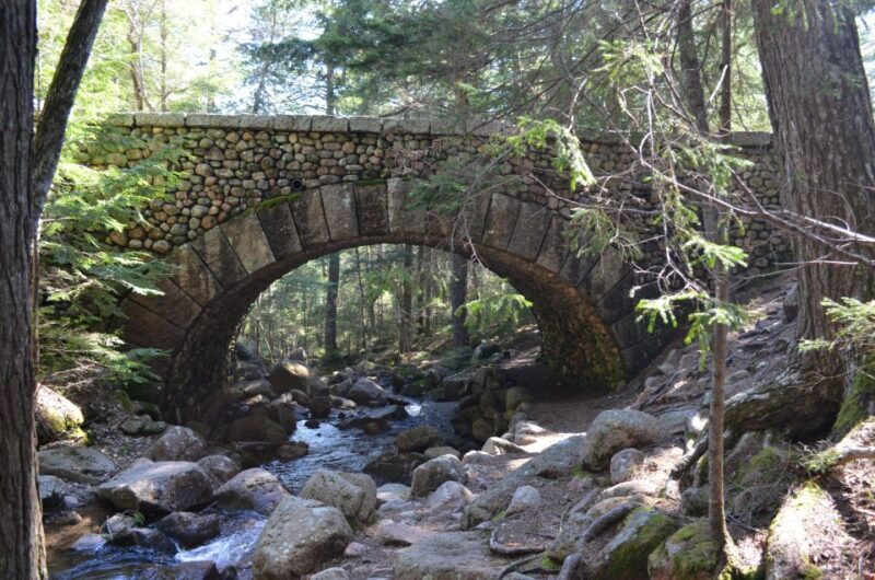 Bar Harbor: Acadia National Park Private Tour with Lunch - A Deep Dive into the Experience