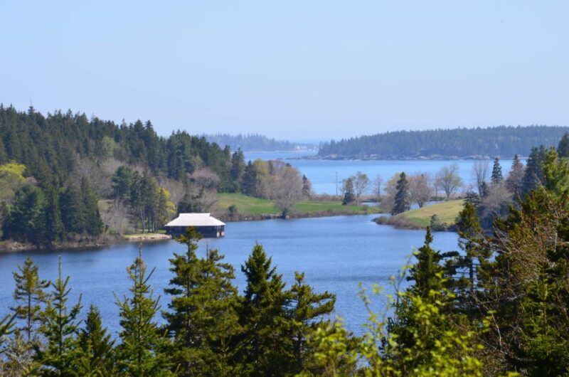 Bar Harbor: Acadia National Park Private Tour with Lunch - Final Thoughts