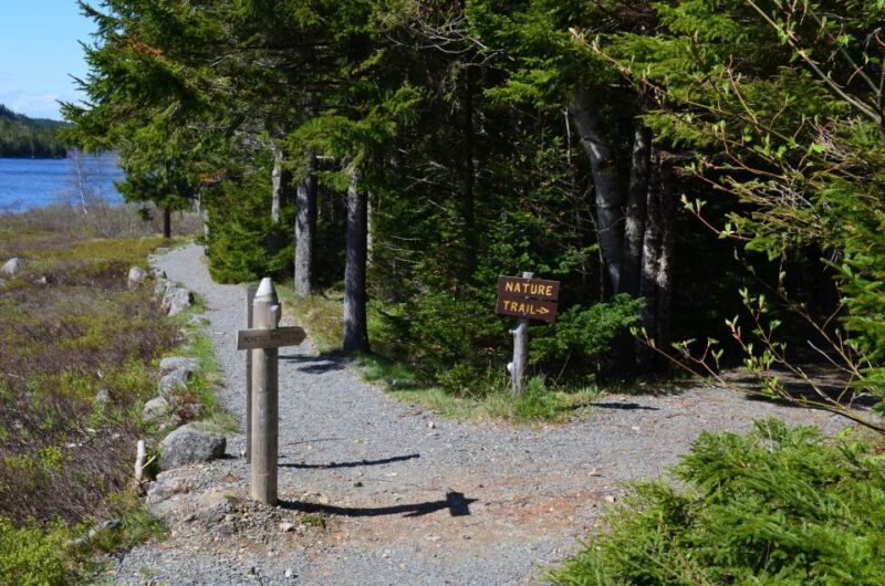 Bar Harbor: Acadia National Park Private Tour with Lunch - Key Points