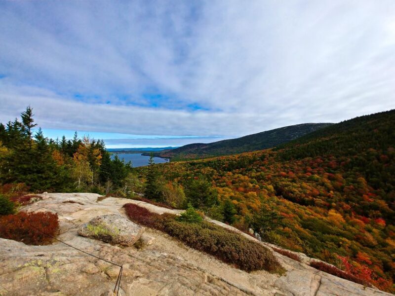 Bar Harbor: Acadia National Park Small-Group Guided Tour - Authenticity and Value