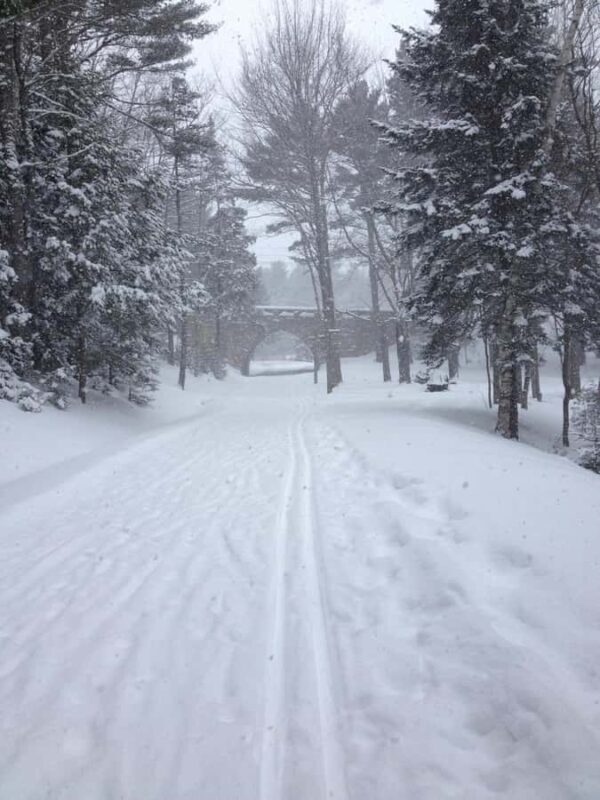 Bar Harbor, Maine: Winter in Acadia Private Driving Tour - Exploring the Acadia Landscape in Winter