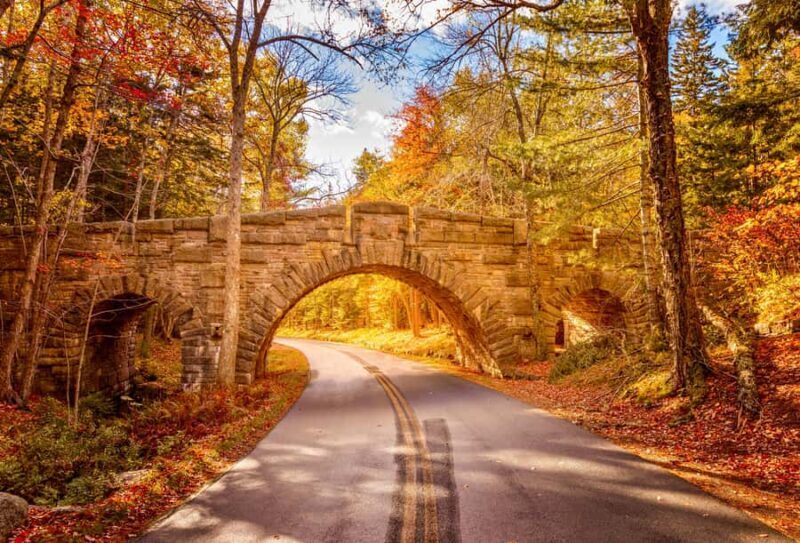 Bar Harbor: Premium Private Tour with Local Guide - Why This Tour Stands Out