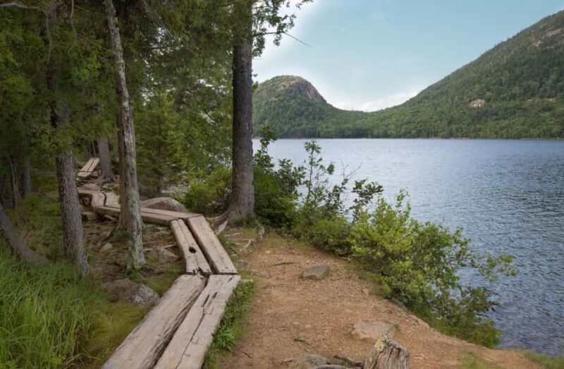 Bar Harbor: Premium Private Tour with Local Guide - Who Should Consider This Tour?