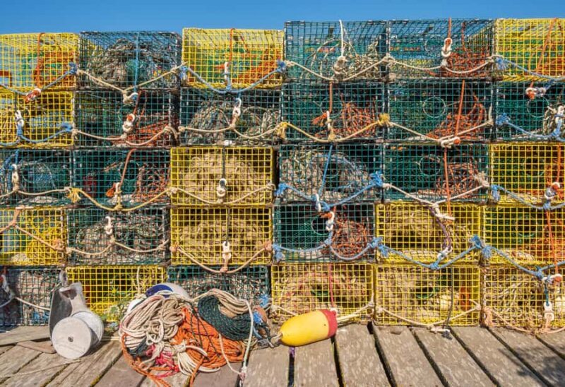 Bar Harbor: Premium Private Tour with Local Guide - Final Thoughts