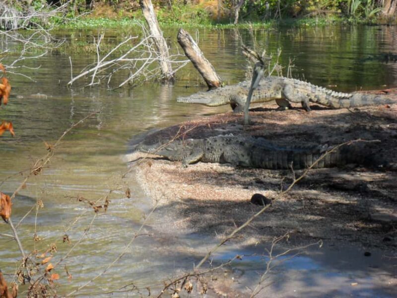 Barahona: Lake Enriquillo Discovery Tour - The Real Value: What You’re Getting