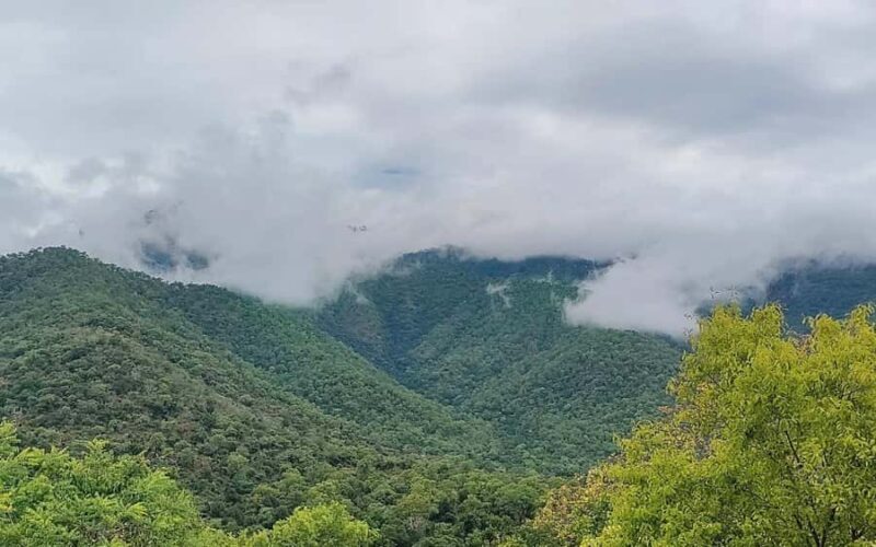 Baralikadu Eco Tourism Day Tour from Coimbatore - Key Points