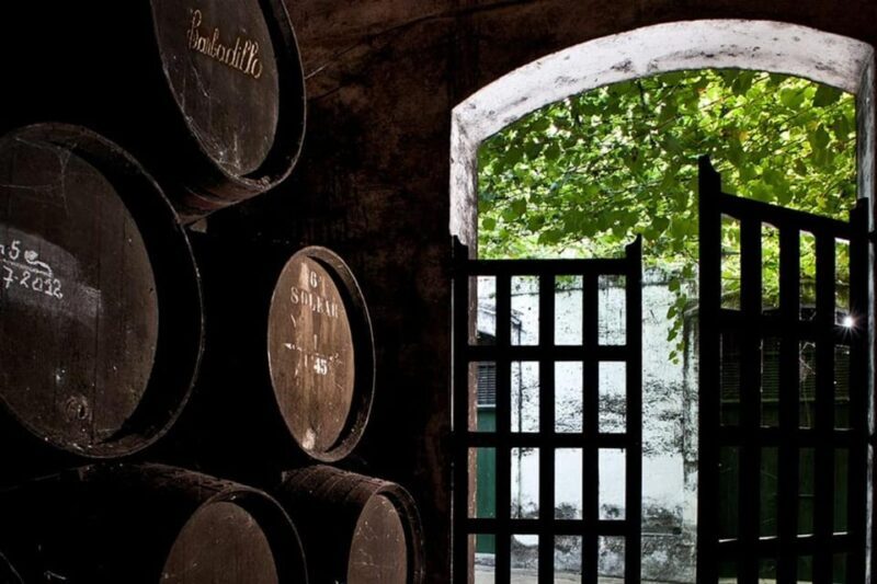 Barbadillo Winery Guided Tour in Cadiz with Wine Tasting - Key Points