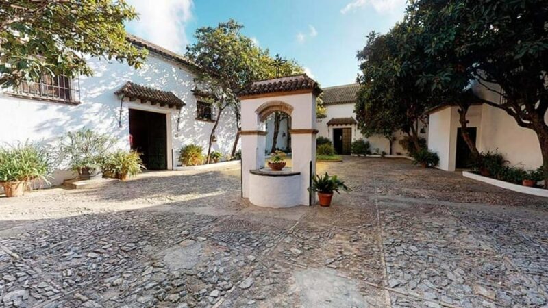 Barbadillo Winery Guided Tour in Cadiz with Wine Tasting - An In-Depth Review of the Tour