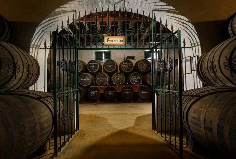 Barbadillo Winery Guided Tour in Cadiz with Wine Tasting - Final Tips for Future Visitors