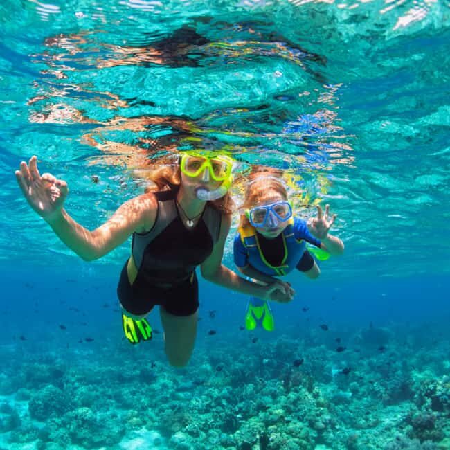 Barbados: 1-Hr Snorkeling Adventure with Supreme Watersports - An Introduction to the Snorkeling Adventure in Barbados