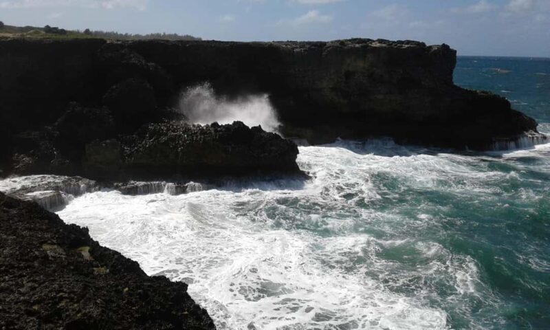 Barbados: 4 Hour Private Customized Island Tour - Who Will Love This Tour?